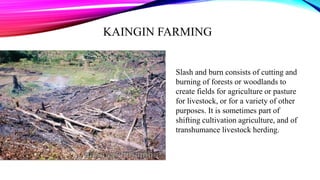 Deforestation.pptx