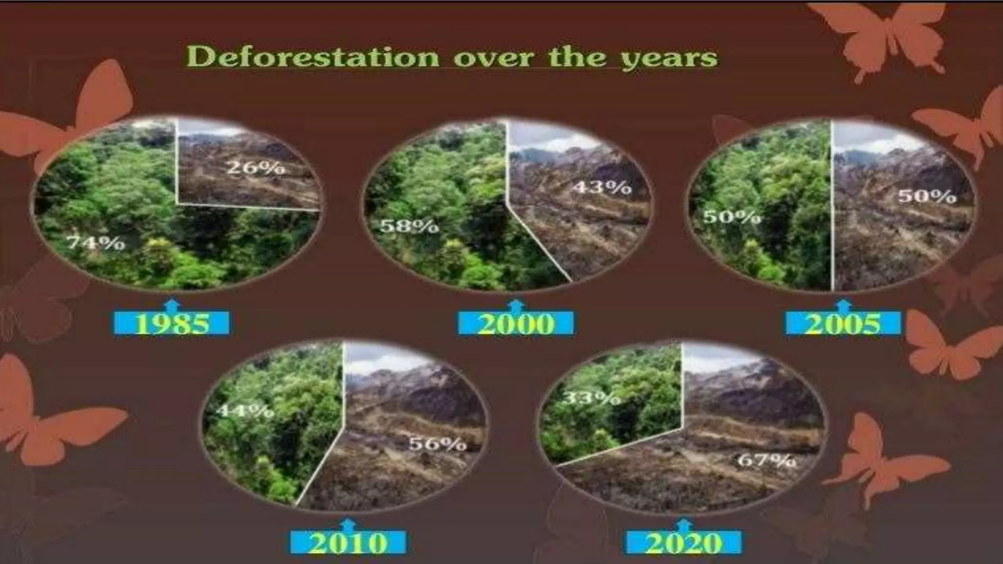 deforestation.pptx