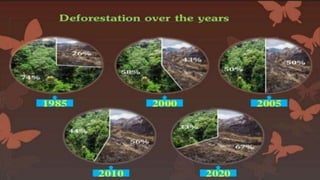 deforestation.pptx