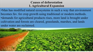 deforestation.pptx