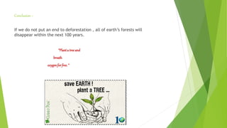 DEFORESTATION.pptx | Agriculture | Industries