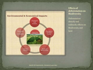 DEFORESTATION.pptx