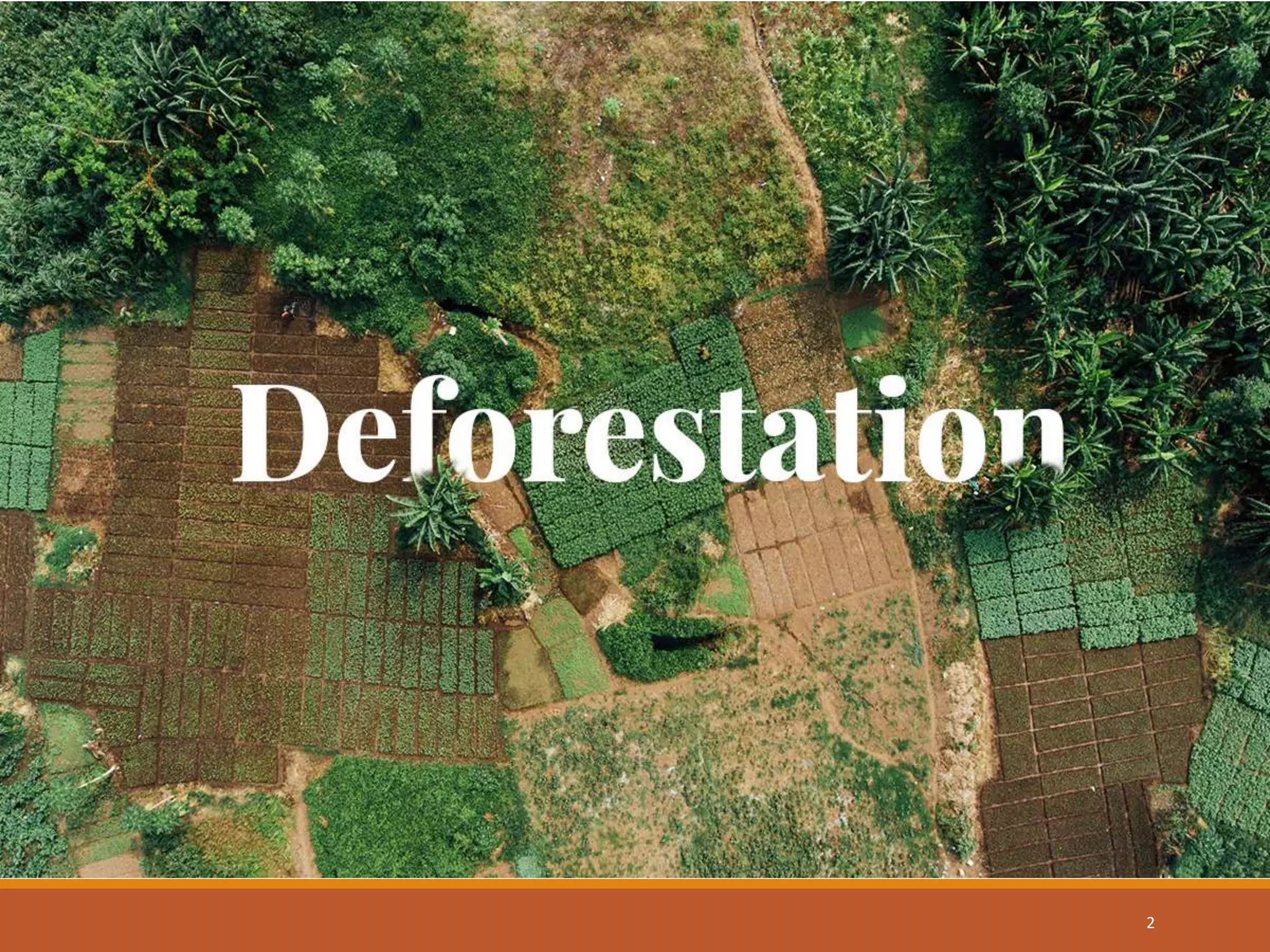 Deforestation.ppt