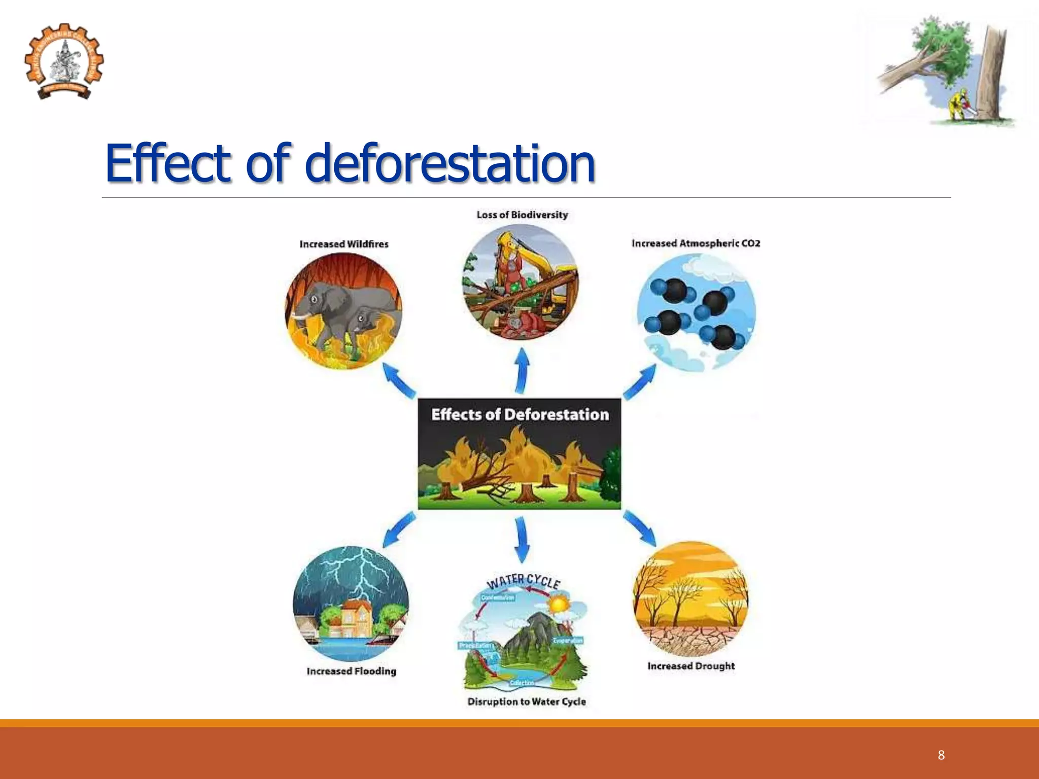 Deforestation.ppt