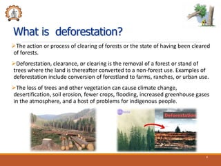 Deforestation.ppt