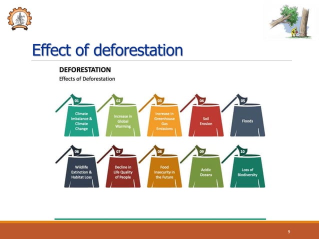 Deforestation.ppt