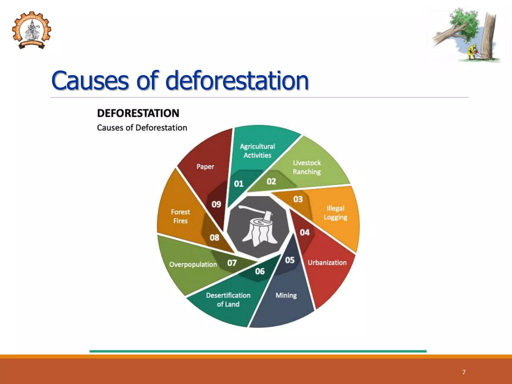 Deforestation.ppt