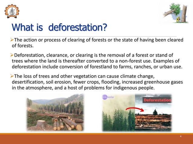 Deforestation.ppt