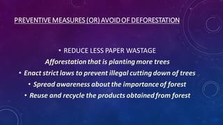 DEFORESTATION.pdf
