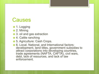 deforestation.pptx measures and its causes | PPTX