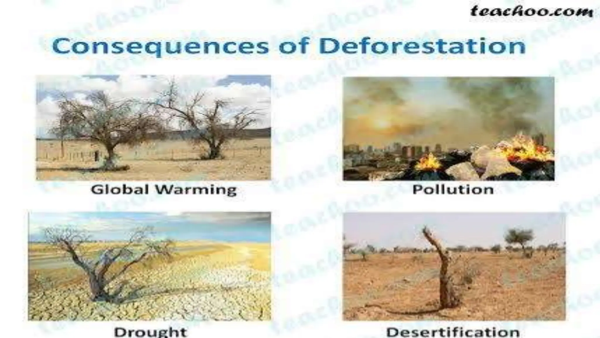deforestation.pptx introduction, causes, consequences and solutions to ...