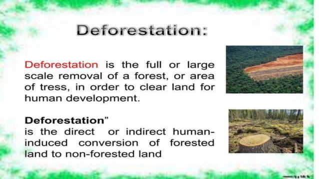 deforestation.pptx introduction, causes, consequences and solutions to ...