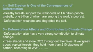 Deforestation. Environental Science College Course First Year | PPTX