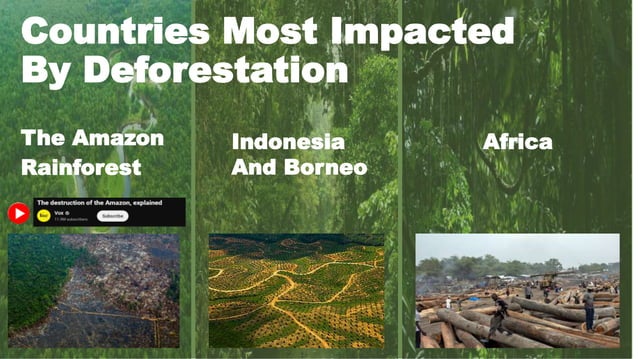 Deforestation. Environental Science College Course First Year | PPT ...