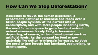 Deforestation. Environental Science College Course First Year | PPTX