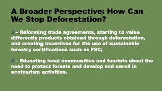 Deforestation. Environental Science College Course First Year | PPT