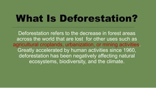Deforestation. Environental Science College Course First Year | PPT