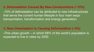 Deforestation. Environental Science College Course First Year | PPTX