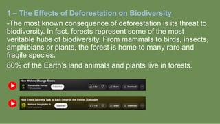 Deforestation. Environental Science College Course First Year | PPTX