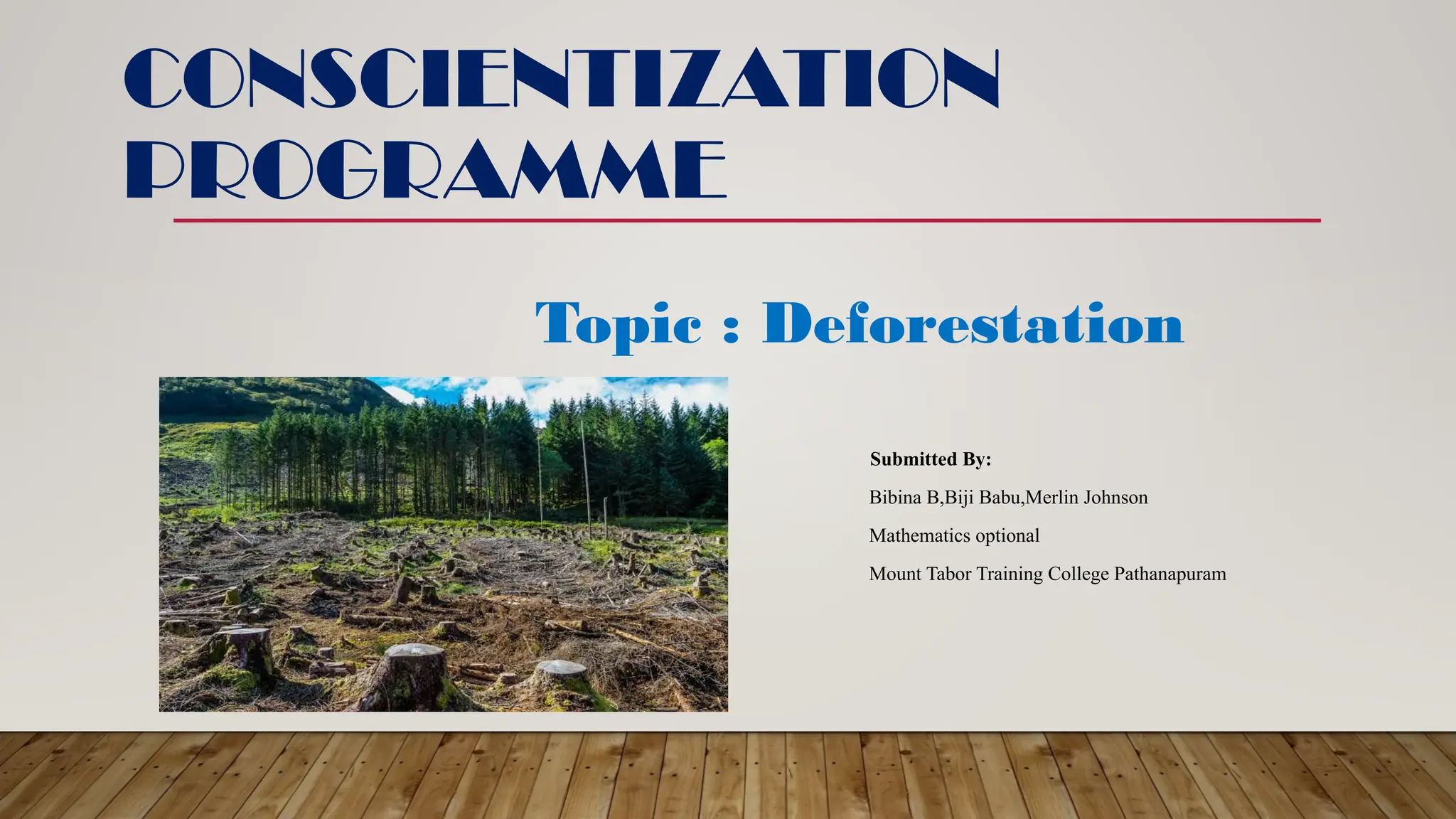 deforestation.pptxs s | PPTX