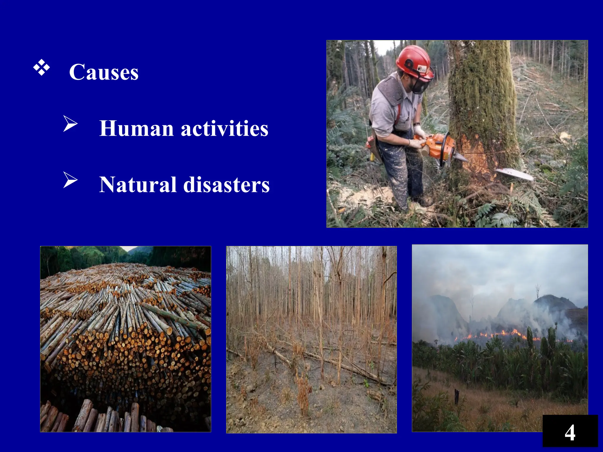 Climate change (Deforestation in Myanmar).pptx