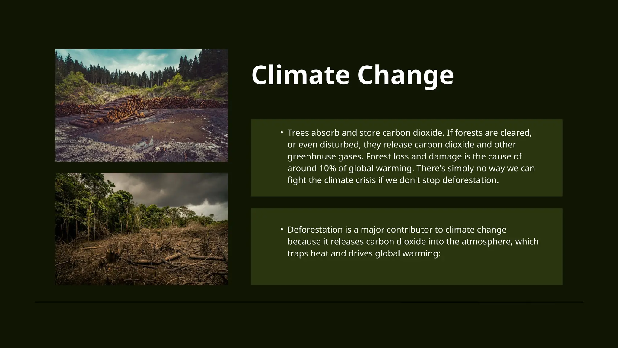 deforestation.ppt[1]bestpptondeforestation.pptx