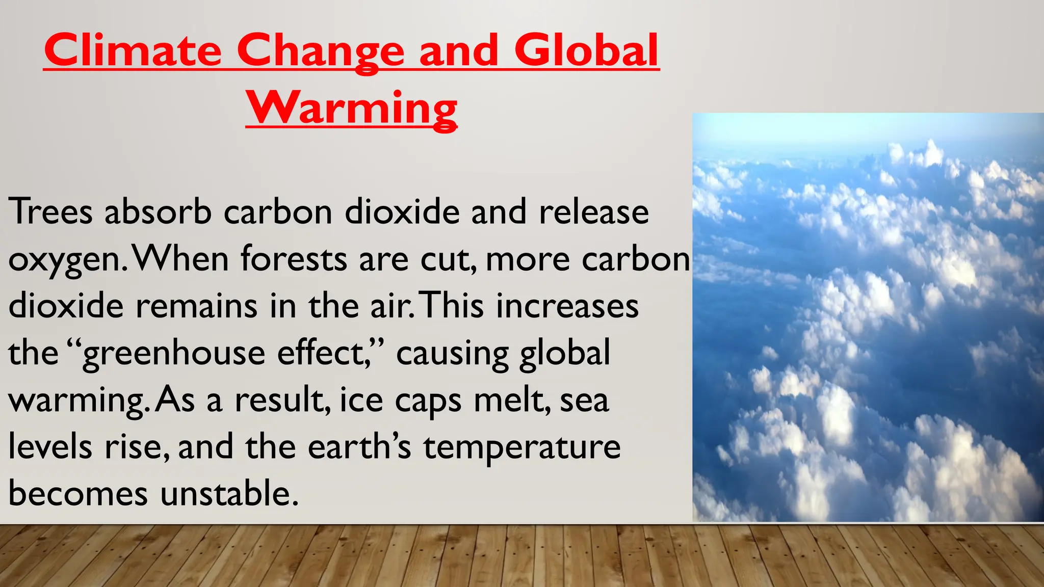 Deforestation, its definition, its causes, effect, solutions and .pptx