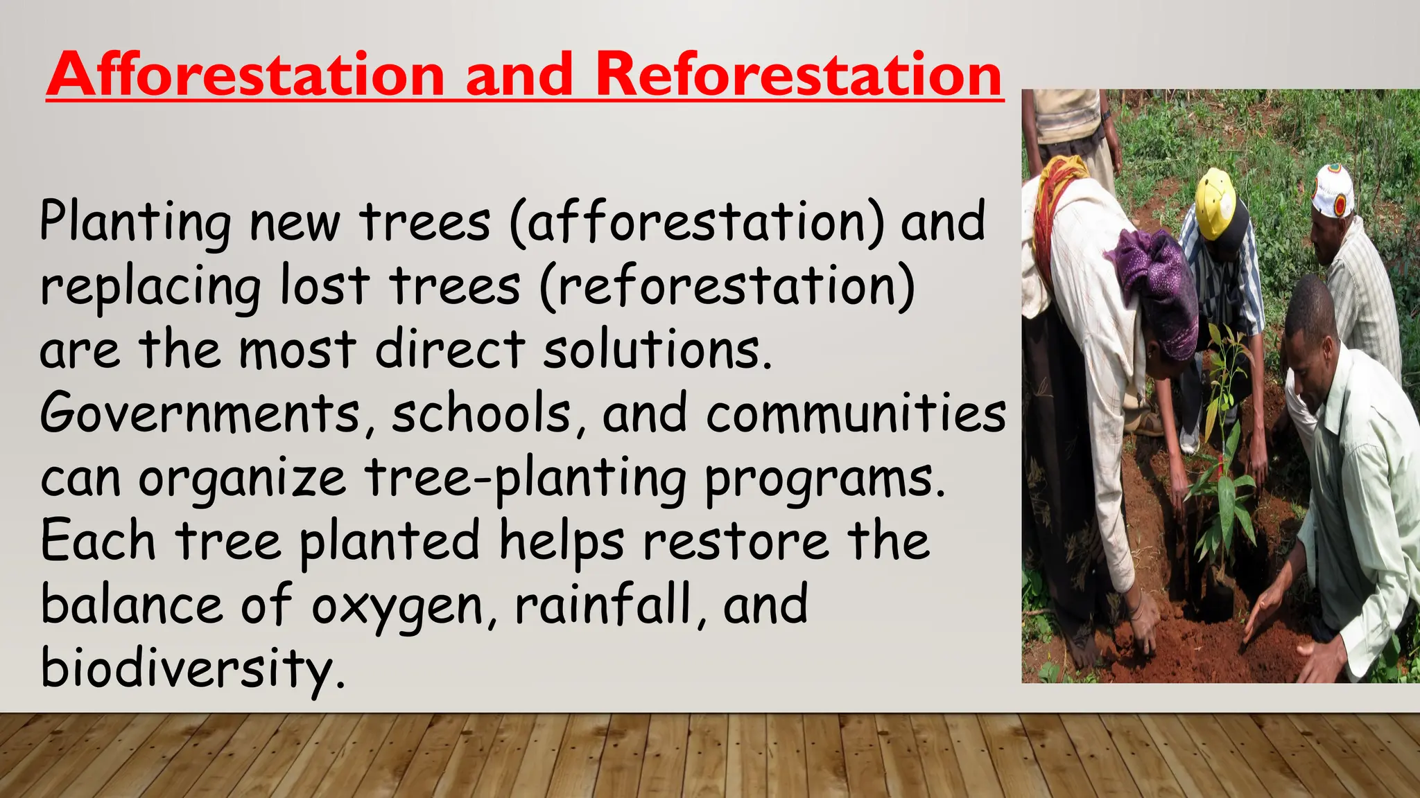 Deforestation, its definition, its causes, effect, solutions and .pptx