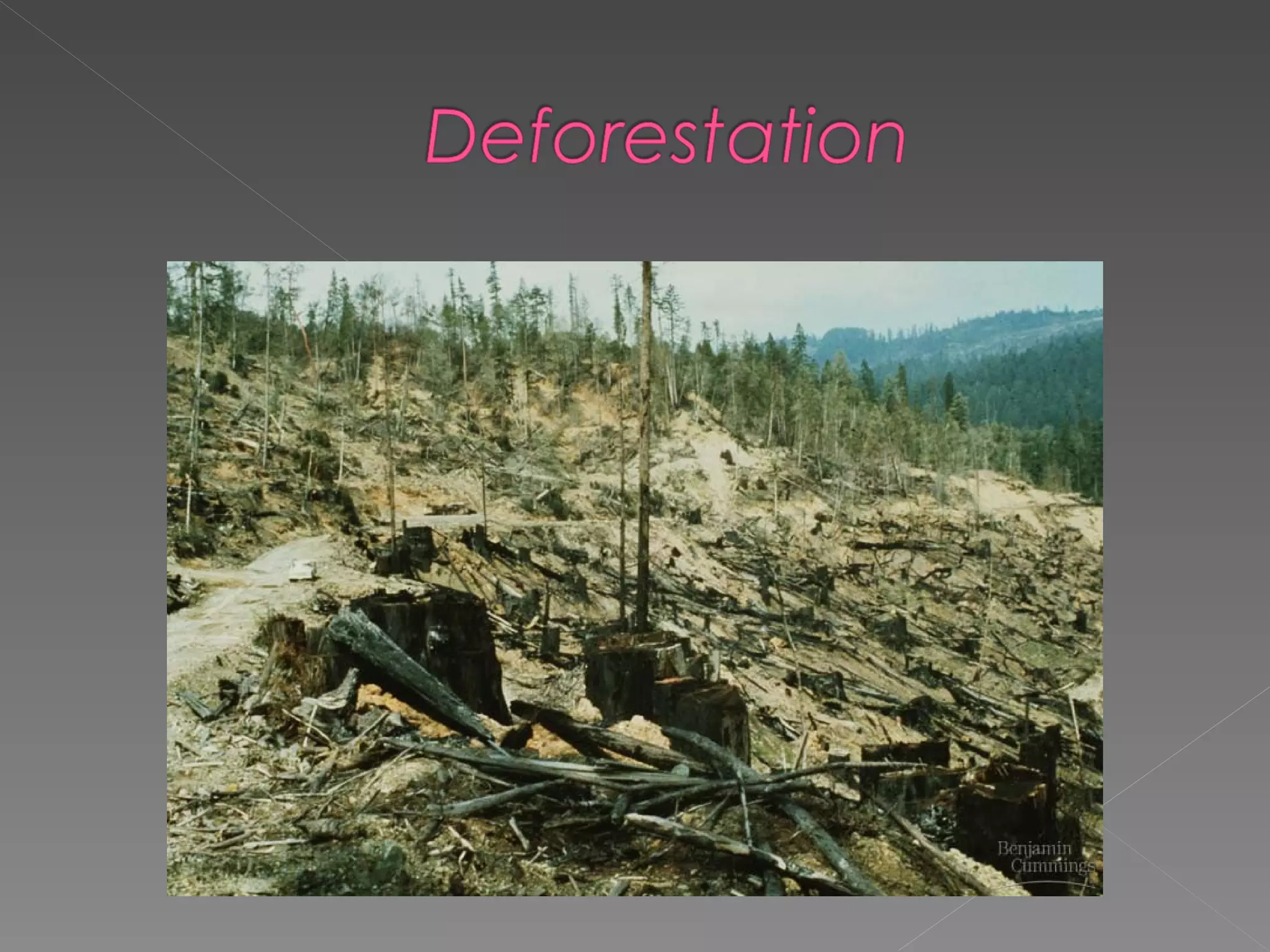 Deforestation - Sixth A | PPT | Environment | Science