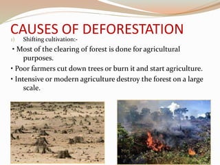 Deforestation introduction causes effects & control | PPT