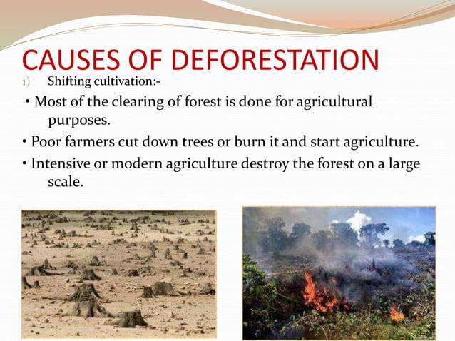 Deforestation introduction causes effects & control | PPT