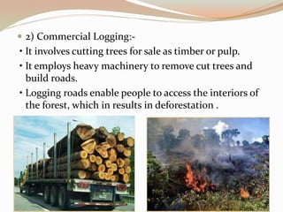 Deforestation introduction causes effects & control | PPT