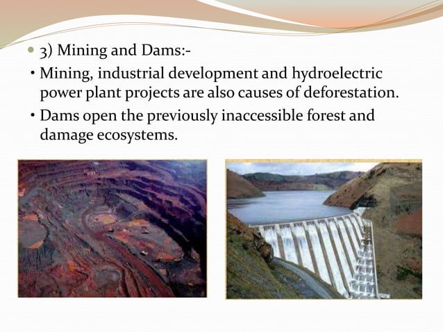 Deforestation introduction causes effects & control | PPT