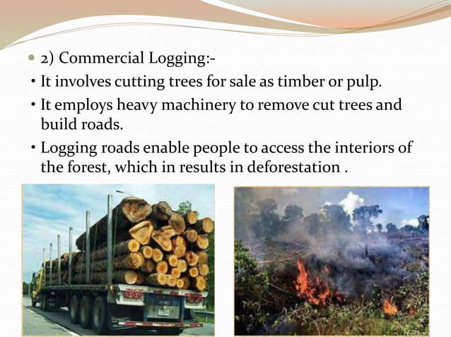 Deforestation Introduction Causes Effects And Control