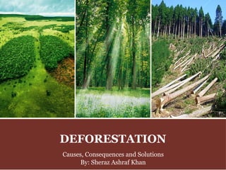 Deforestation - Causes, Consequences, Solutions.pptx