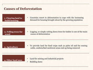 Deforestation - Causes, Consequences, Solutions.pptx