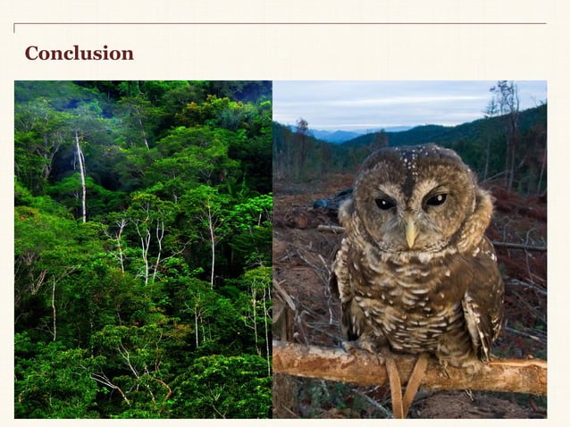 Deforestation - Causes, Consequences, Solutions.pptx