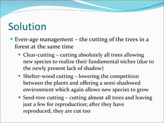 Deforestation dimitar d, simona, veselin | PPT