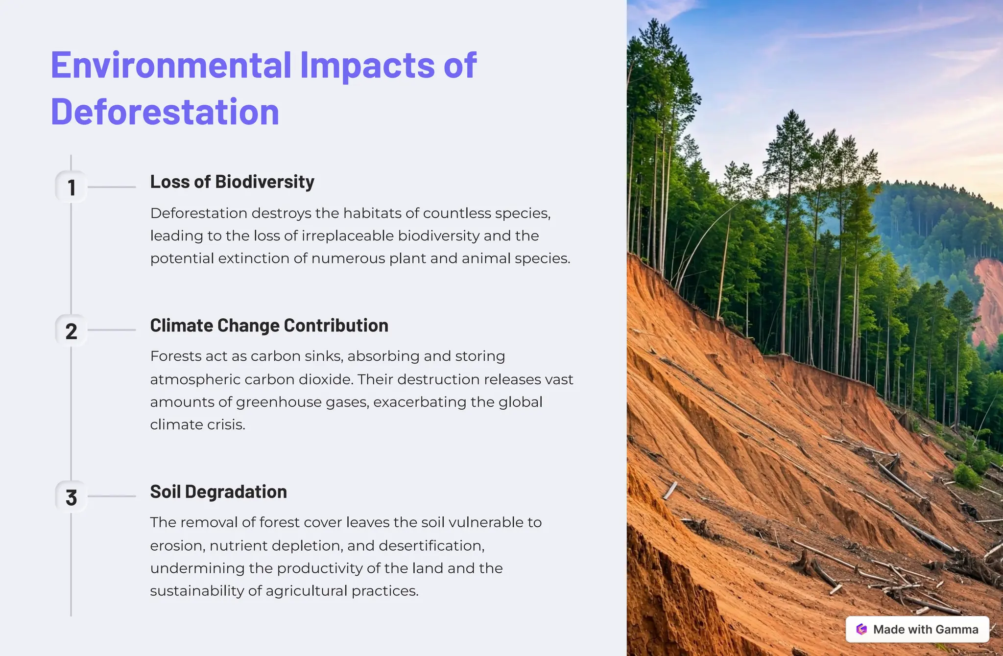 Deforestation-in-India-Causes-Effects-and-Control-Strategies.pdf