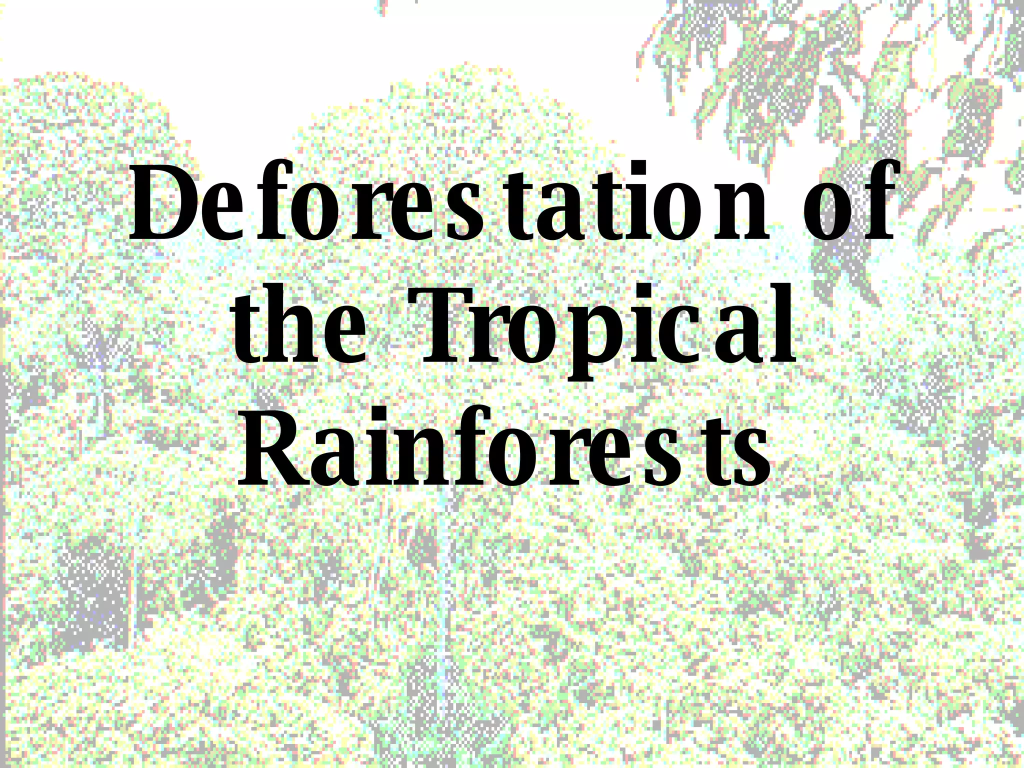 Deforestation Of The Tropical Rainforests | PPT