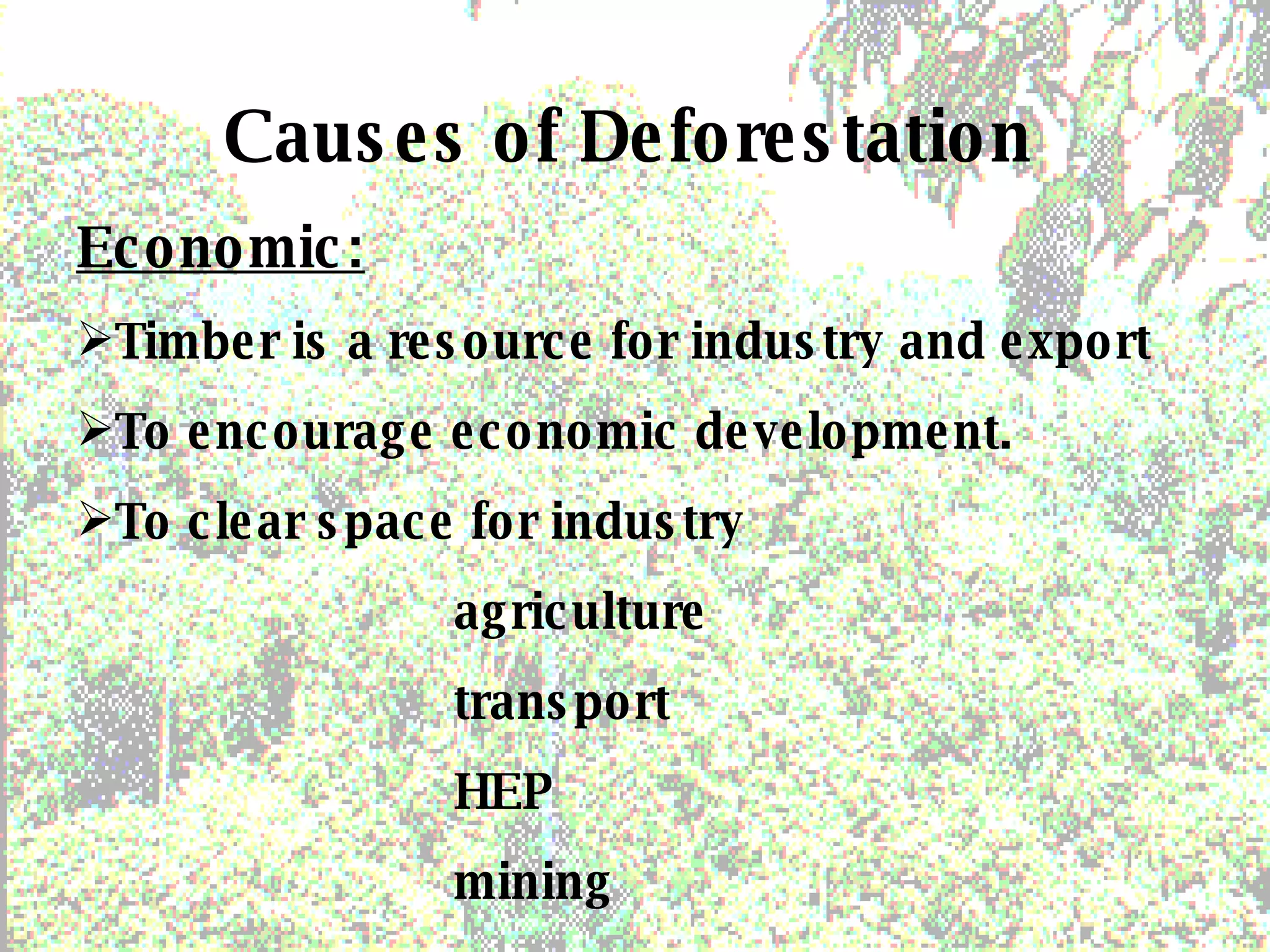 Deforestation Of The Tropical Rainforests | PPT