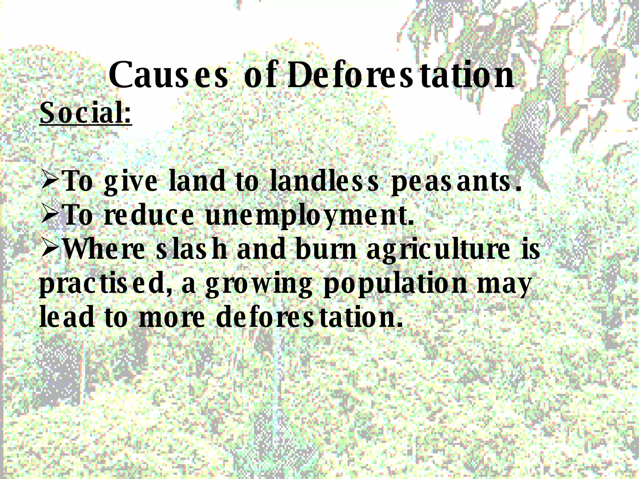 Deforestation Of The Tropical Rainforests | PPT