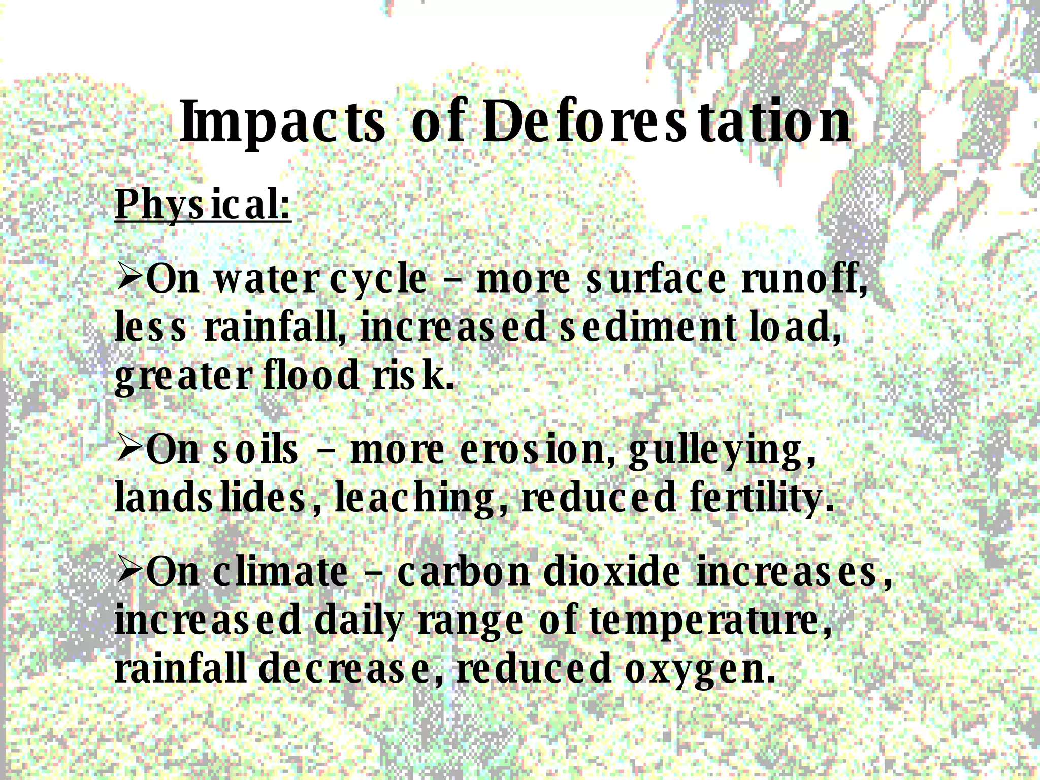 Deforestation Of The Tropical Rainforests | PPT