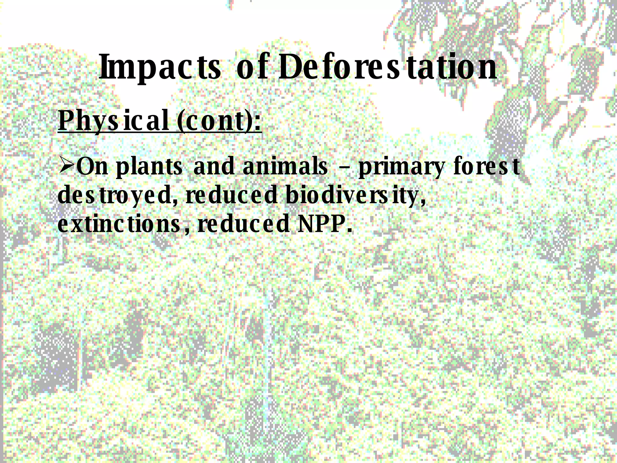 Deforestation Of The Tropical Rainforests | PPT