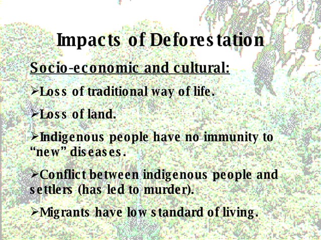 Deforestation Of The Tropical Rainforests | PPT