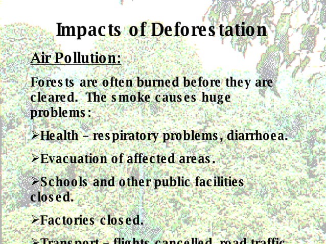 Deforestation Of The Tropical Rainforests | PPT