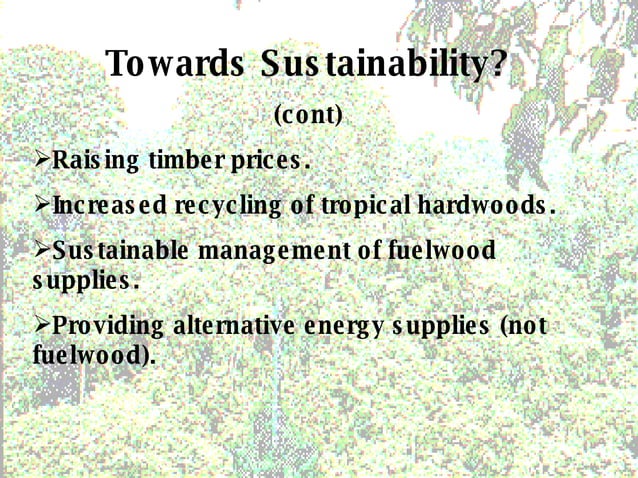 Deforestation Of The Tropical Rainforests | PPT