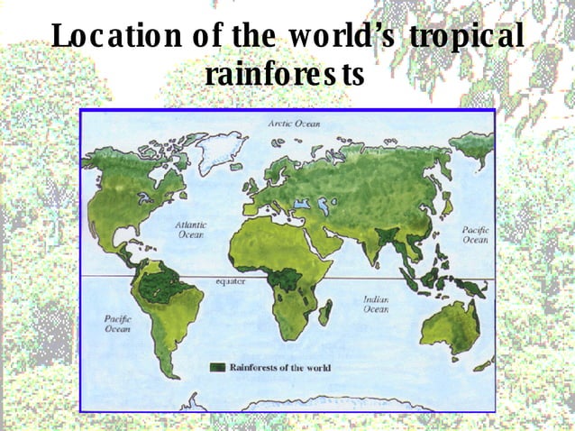 Deforestation Of The Tropical Rainforests | PPT