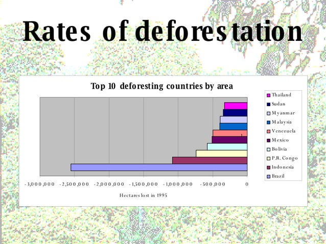 Deforestation Of The Tropical Rainforests | PPT