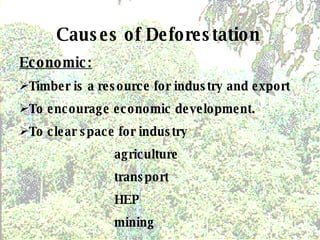Deforestation Of The Tropical Rainforests | PPT